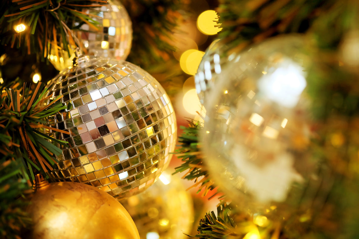 Suede Paint – The Paint Laboratory